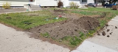 Converting Grass to Self Sustained Garden - Living Sky Permaculture